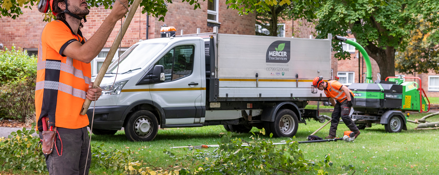 Commercial Tree Services - Mercer Tree Services Ltd